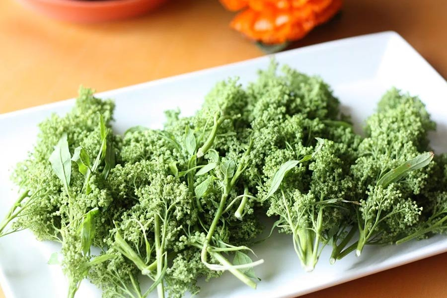 El huauzontle: planta prehispánica de importancia alimenticia – Eureka